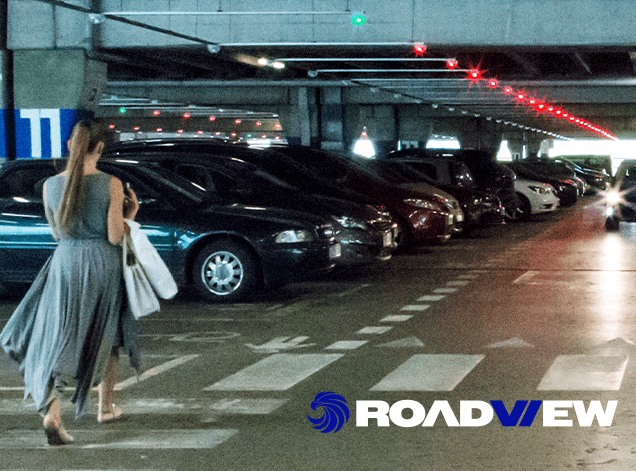 Roadview Battery Packs - AutoXtreme